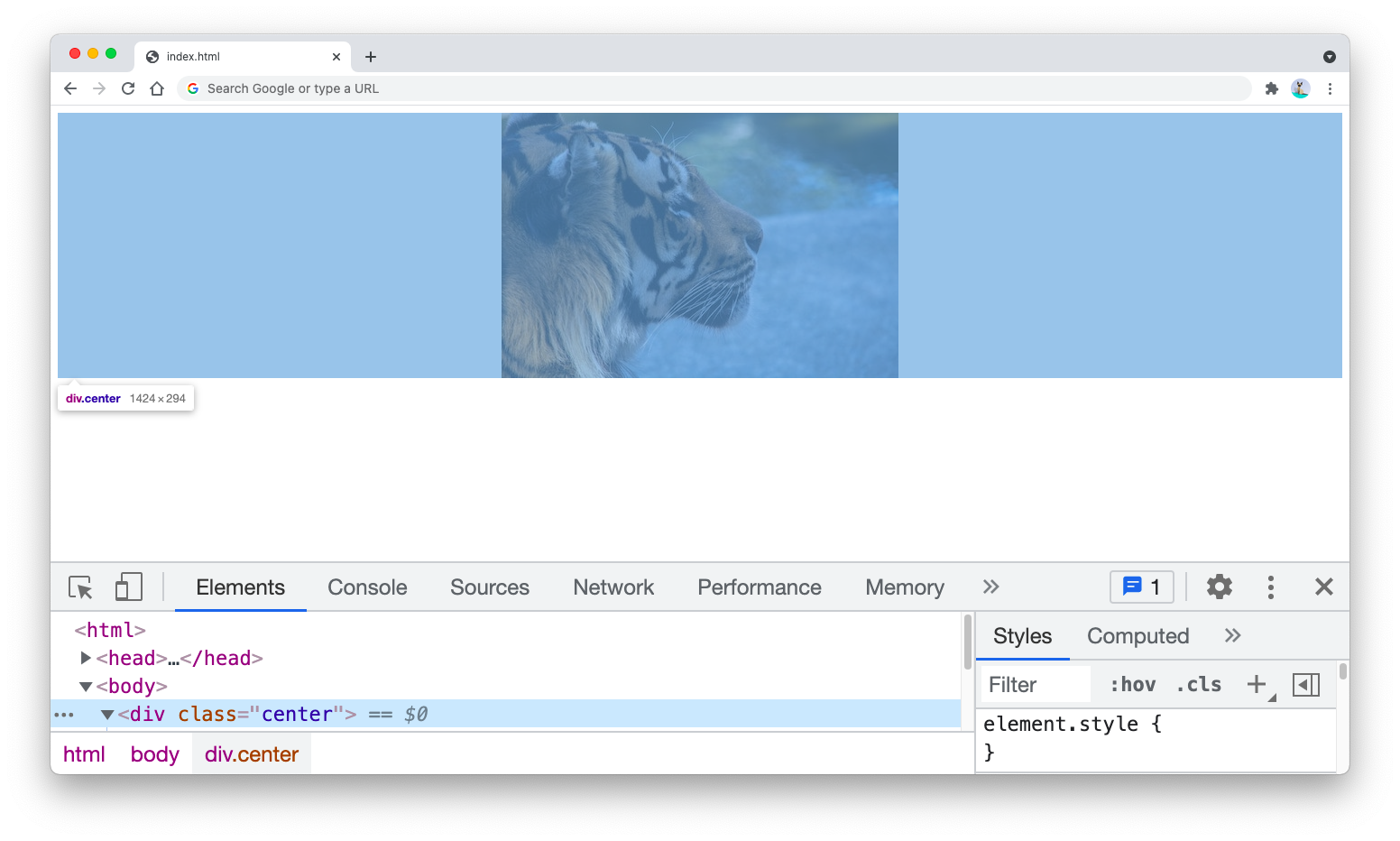 Html Center Text Vertically Next To Image Ploraoh